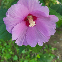 인라이브 로그 스토리1 | 느낌좋다